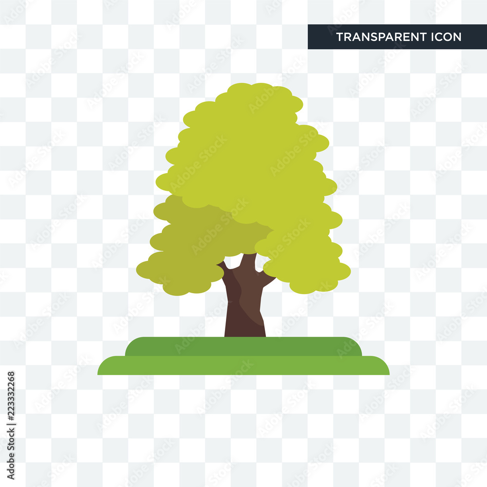 Honey-Locust tree vector icon isolated on transparent background, Honey ...