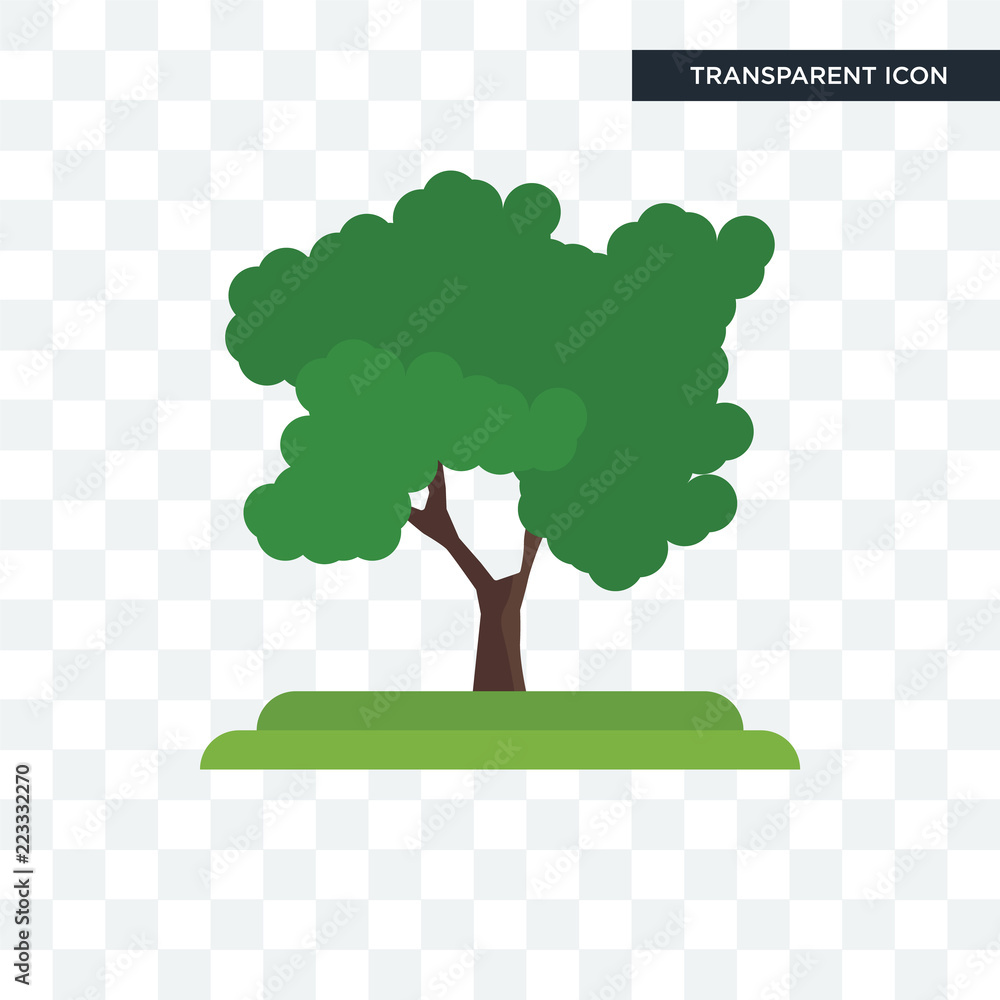 Black Locust tree vector icon isolated on transparent background, Black ...