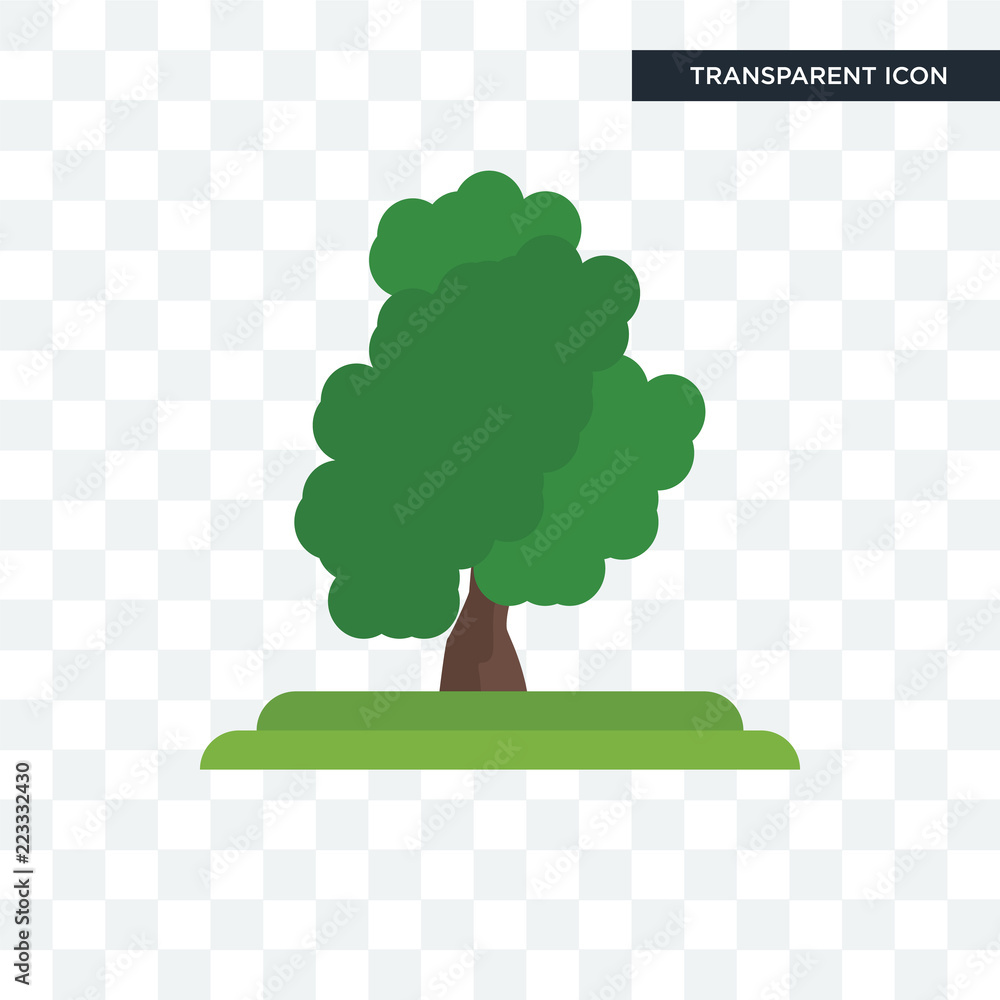 Sassafras tree vector icon isolated on transparent background ...
