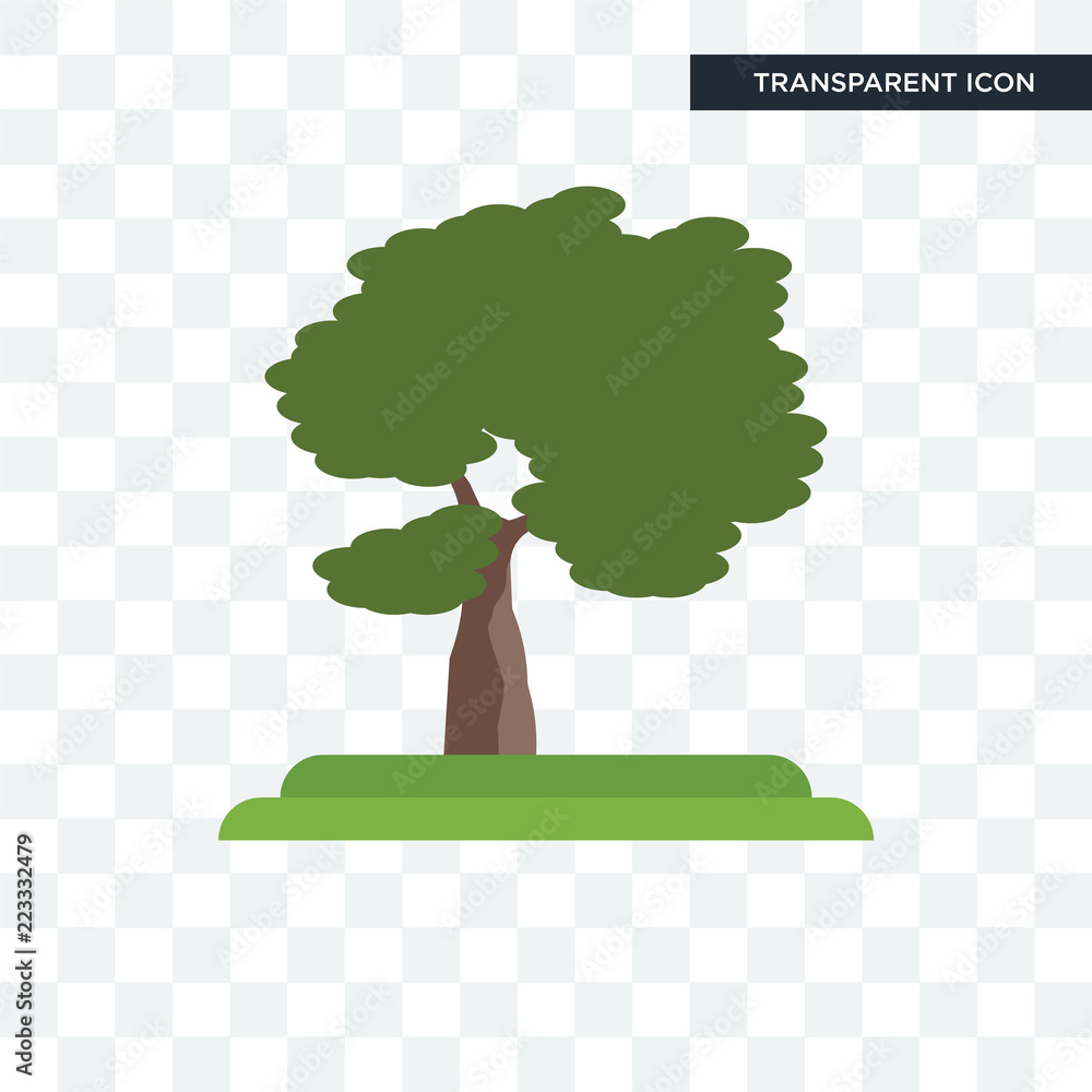 Slippery Elm tree vector icon isolated on transparent background ...