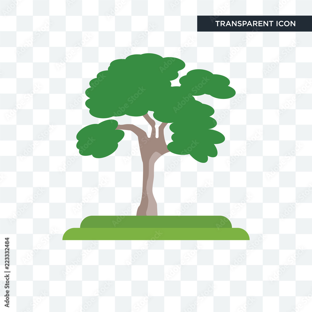 American Elm tree vector icon isolated on transparent background ...