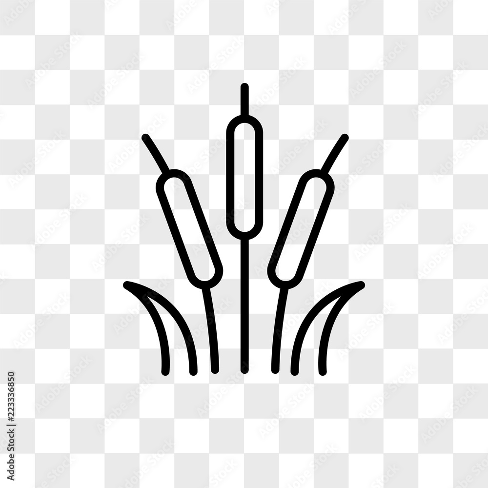 Reed bed vector icon isolated on transparent background, Reed bed logo ...