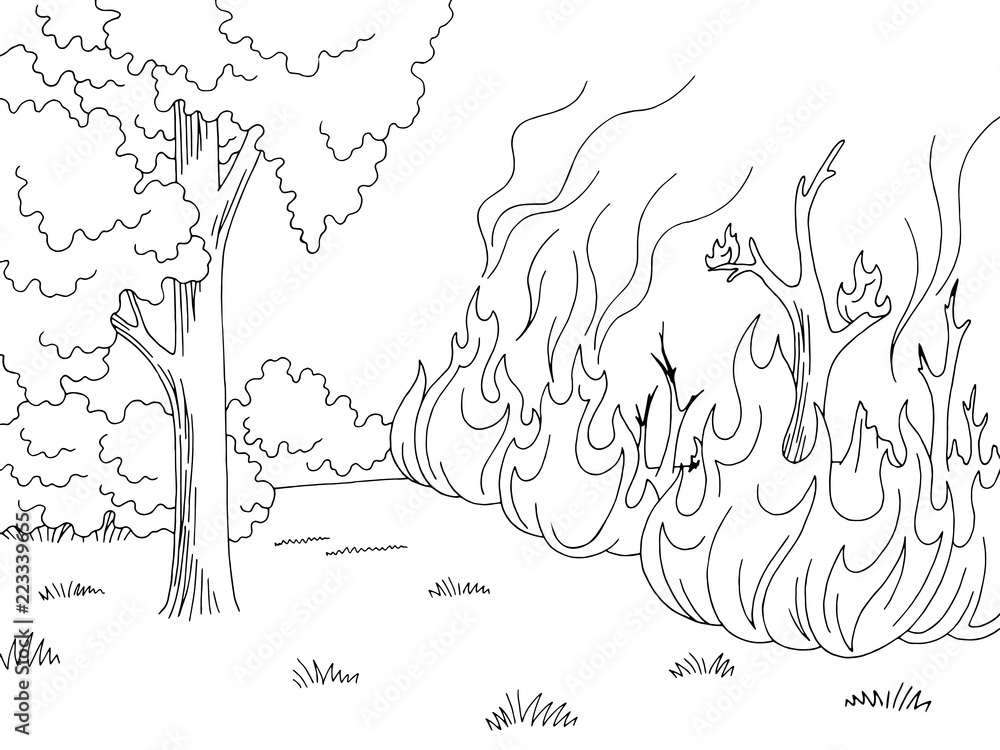 Wildfire graphic black white forest fire landscape sketch illustration ...