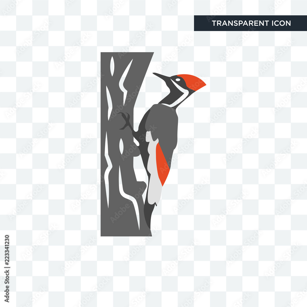 woodpecker vector icon isolated on transparent background, woodpecker ...