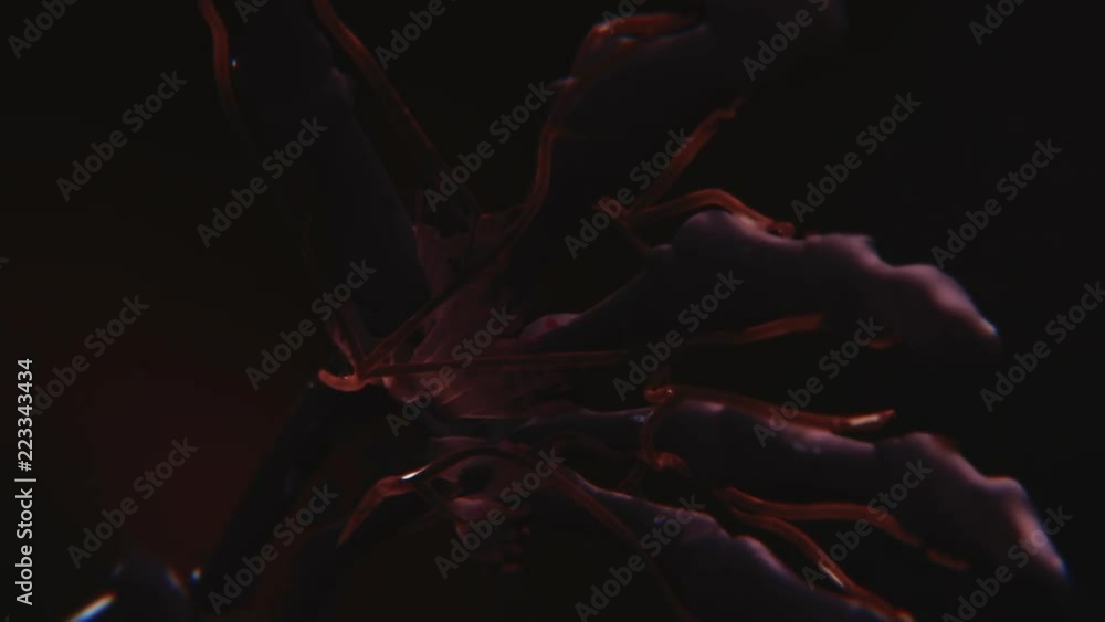 Human Hand Anatomy. Complete Build Up. 3D Animation and Compositing ...