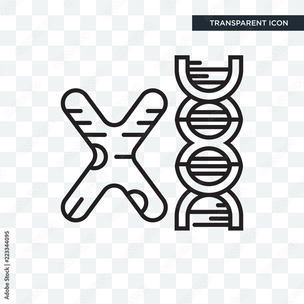 Chromosome vector icon isolated on transparent background, Chromosome ...