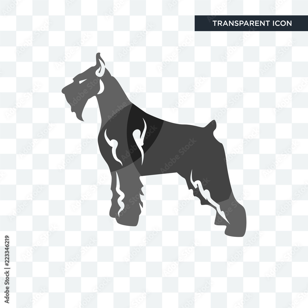 schnauzer vector icon isolated on transparent background, schnauzer ...