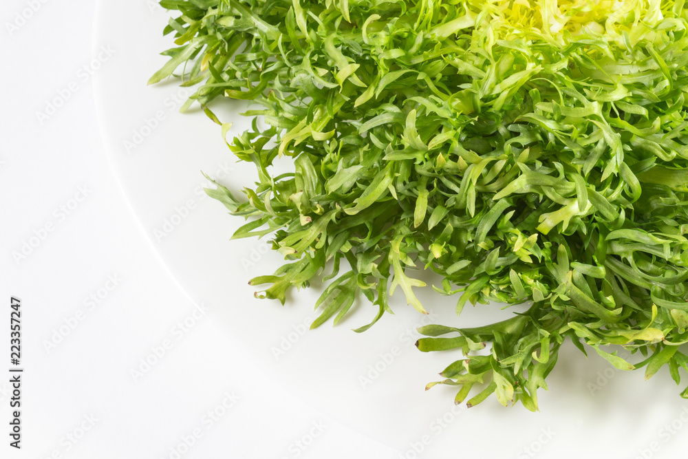 Overhead corner view of frisee lettuce, copy space, isolated on white ...