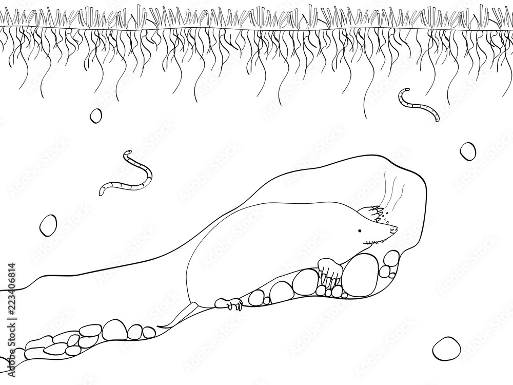 Vector cut section of land with blue sky, grass, underground soil with ...