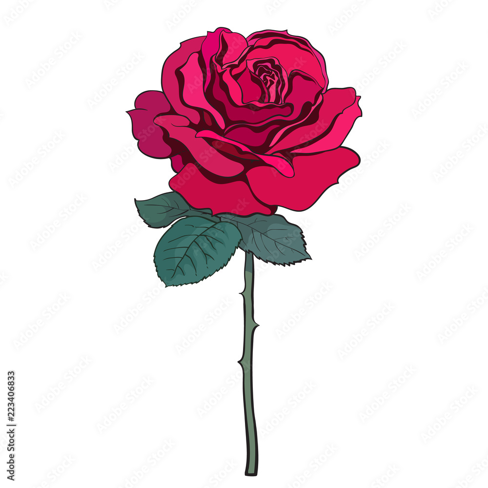 Red Rose With Stem Drawing