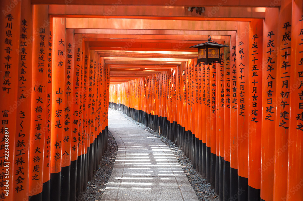 Thousands of vermilion torii gates at Kyoto Fushimi Inari Shrine,Red ...