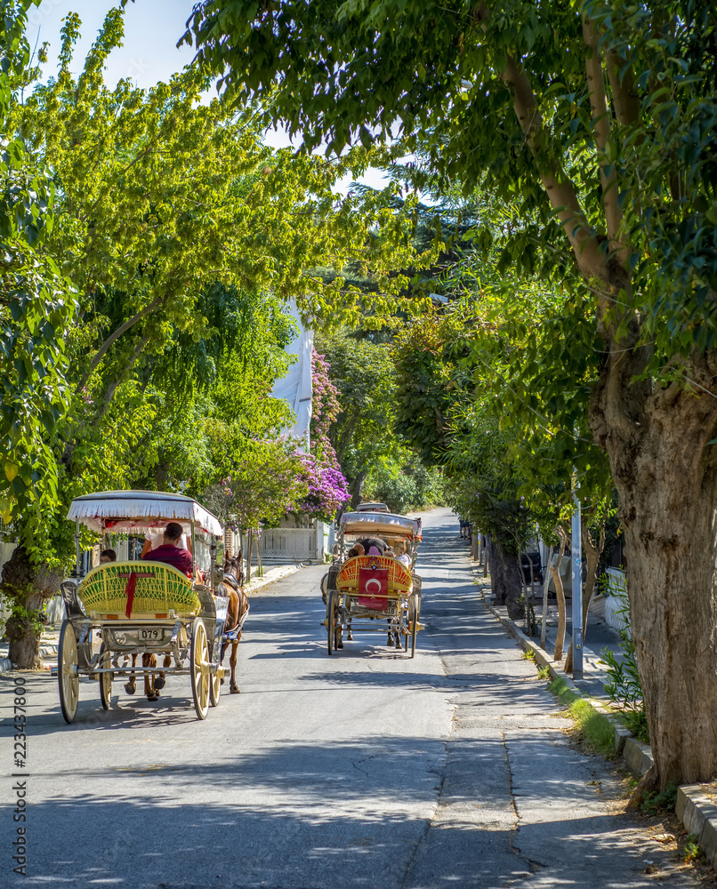 Buyukada Island street view. Coach and Horses at Buyukada, Princes ...