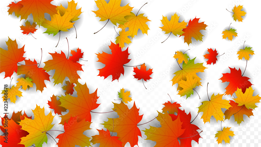September Vector Background with Golden Falling Leaves. Autumn ...