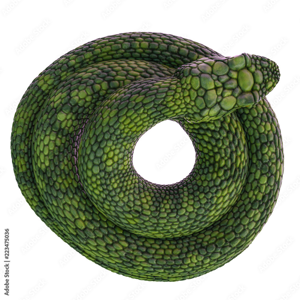 giant green snake in a white background Stock Illustration | Adobe Stock