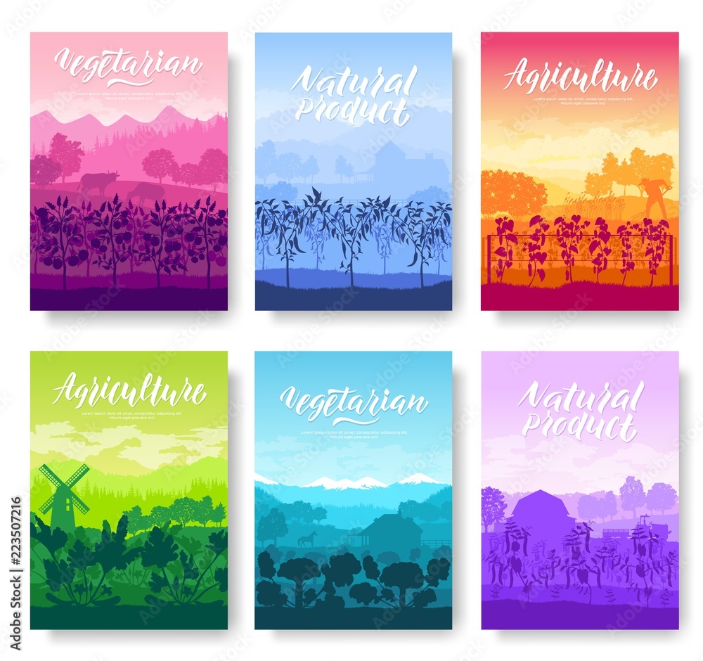 Raised beds for vegetable gardening brochure cards set. Timber planters ...