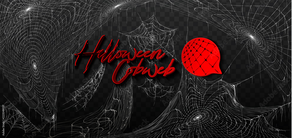 Collection of white spider Cobweb silhouette, isolated, transparent ...