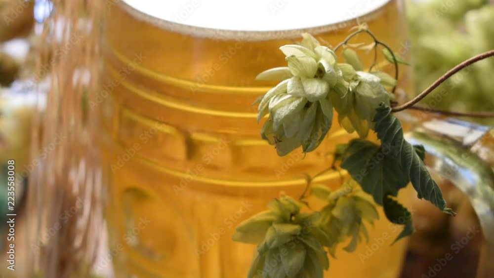 Beer Bier Birra Pivo Bière Bere Пиво Cerveja 맥주 ft81090588 video 啤酒 ...