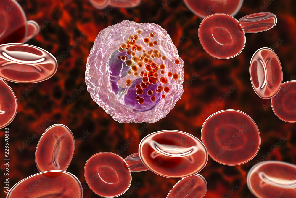 Eosinophil, a white blood cell, 3D illustration. Eosinophils are ...