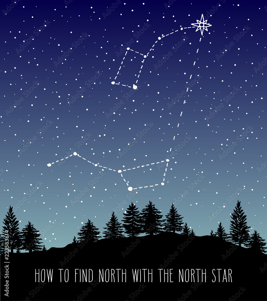 How to find North constellations Stock Vector | Adobe Stock