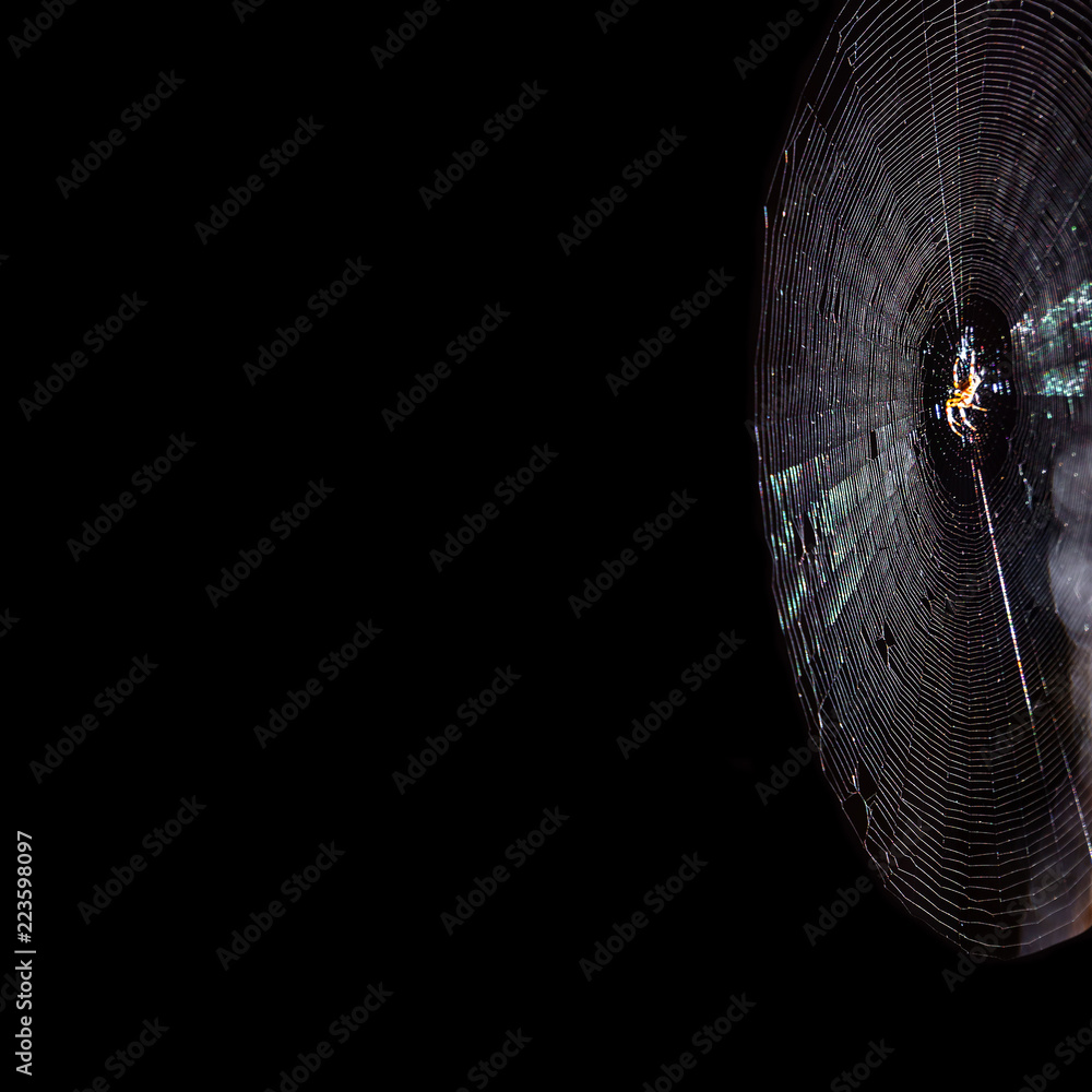 Big illuminated spiderwebs with a spider inside at black background and ...