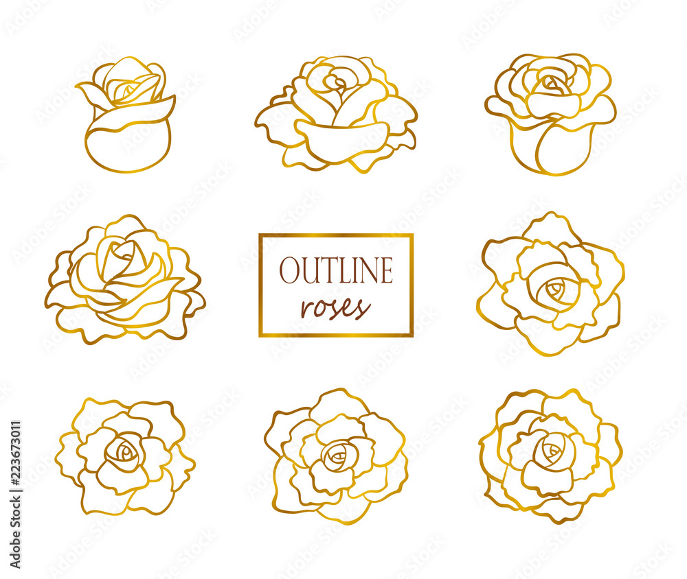 Vector set of outline golden roses, side and top view Stock Vector ...