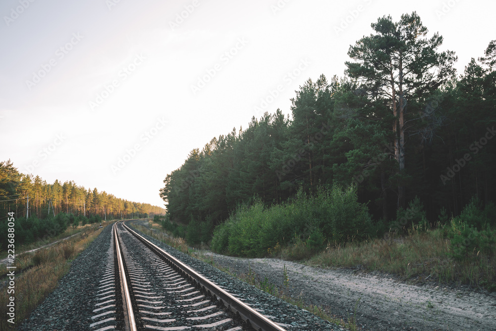 Railway traveling in perspective across forest. Journey on rail track ...