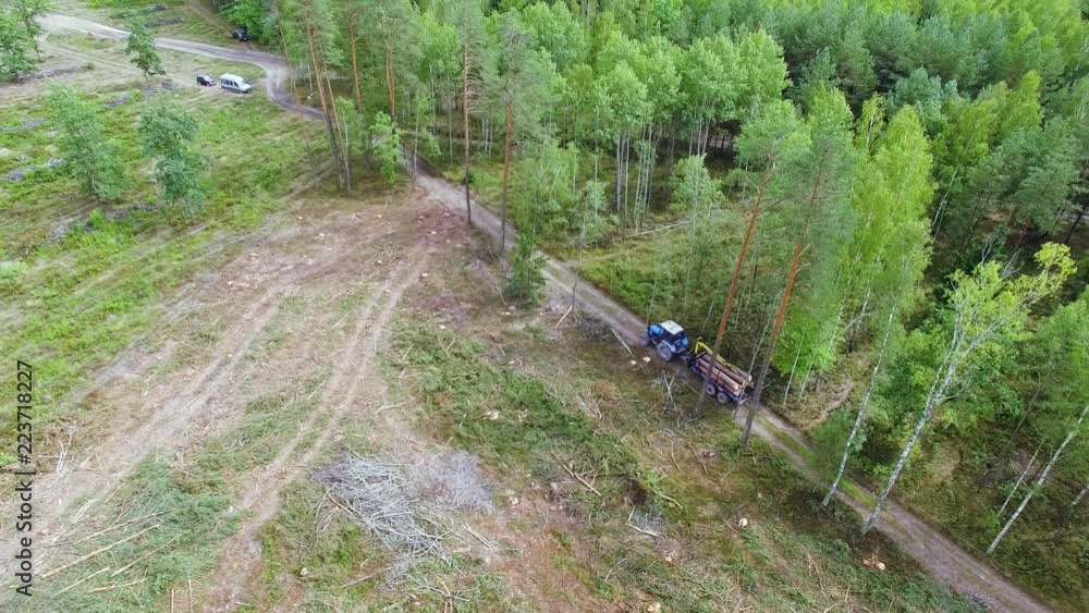 Vidéo Stock Deforestation. Tractor or truck transports, takes timber or ...