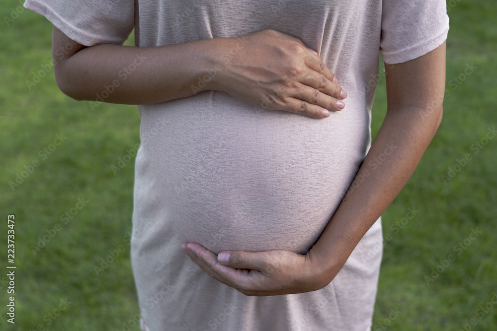 Pregnant Belly 6 Months
