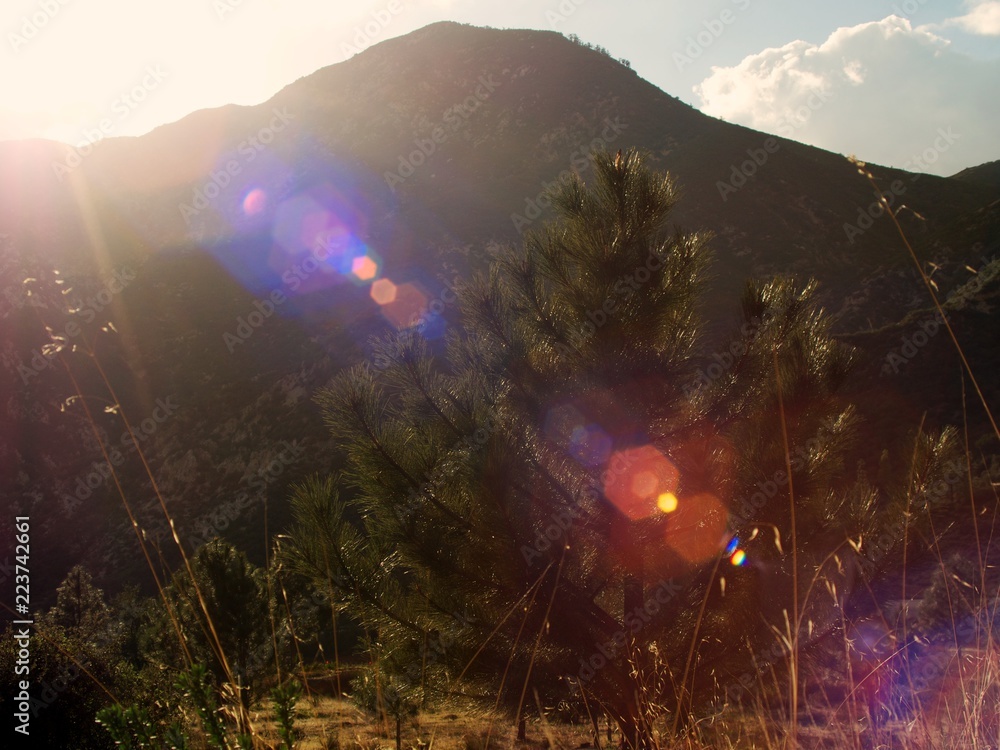 3000 Feet Elevation Stock Photo | Adobe Stock