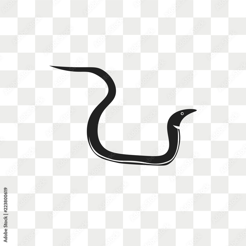 Eel vector icon isolated on transparent background, Eel logo design ...