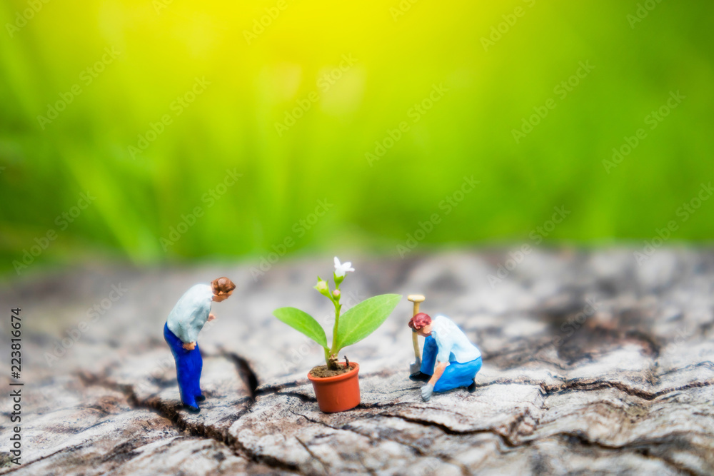 Miniature Greenhouse concept, miniature mini figures with planting tree ...