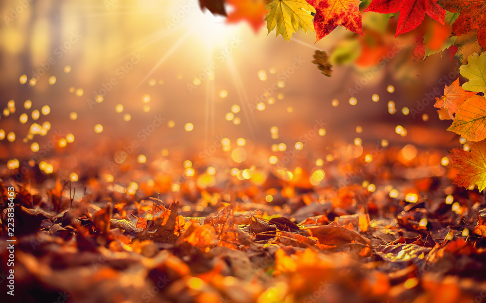 Hintergrund mit herbstlicher Szene im Wald mit fallenden Blättern und ...