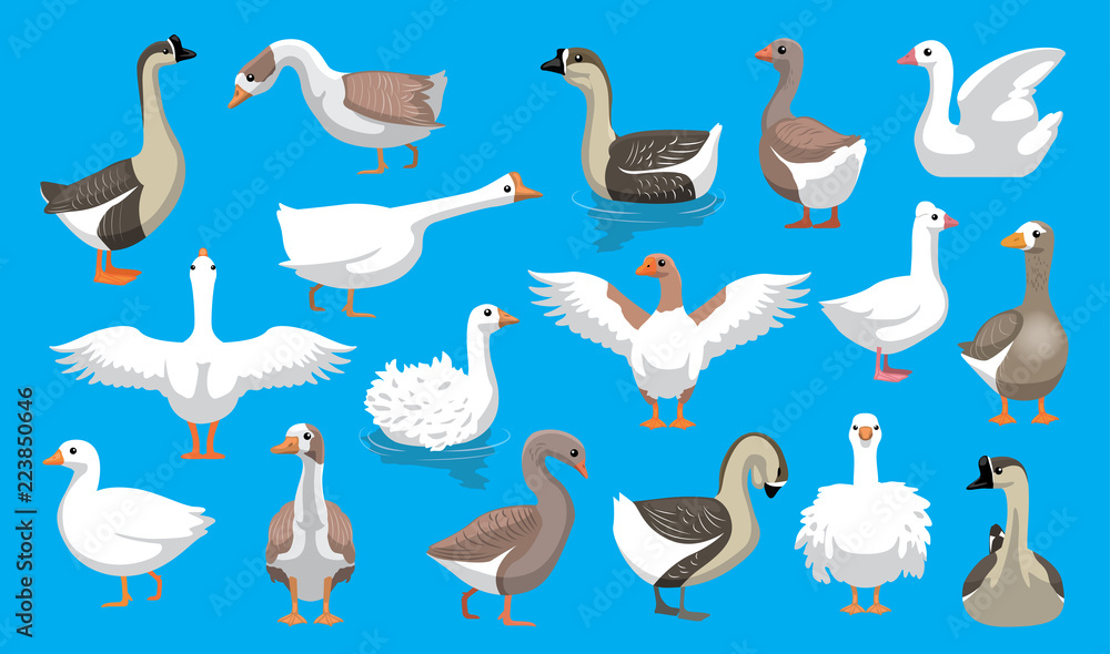 Various Cute Geese Breeds Cartoon Vector Characters Stock Vector ...