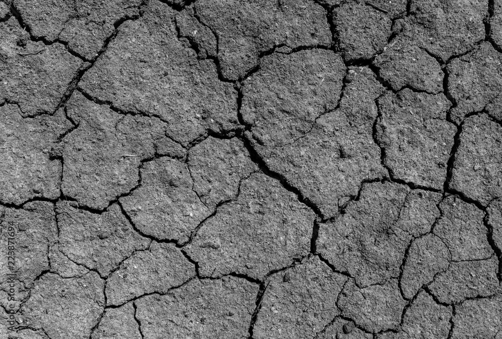 Gray Soil