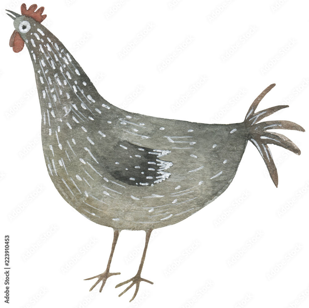 Cute watercolor farm animal on the isolated white background. Stock ...