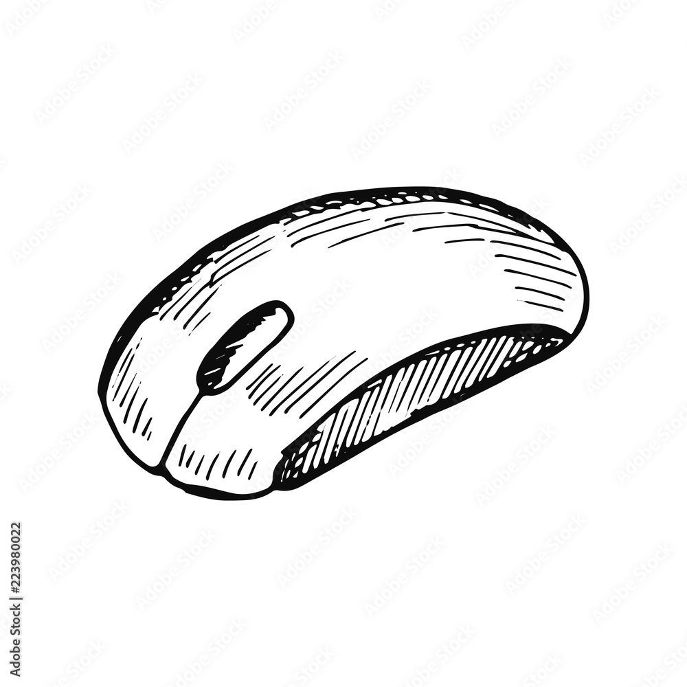 Computer Mouse Diagram