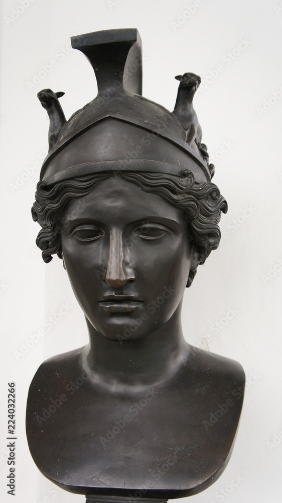 Minerva Bust Bronze