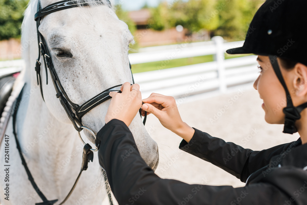 side view of female equestrian fixing horse halter at horse club Stock ...