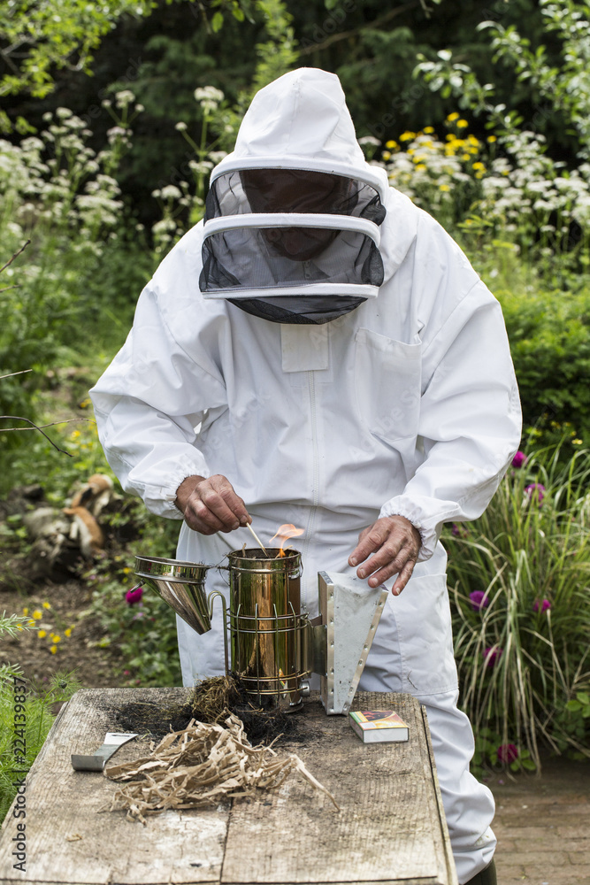 Beekeper wearing protective suit at work, lighting fire in metal smoker ...