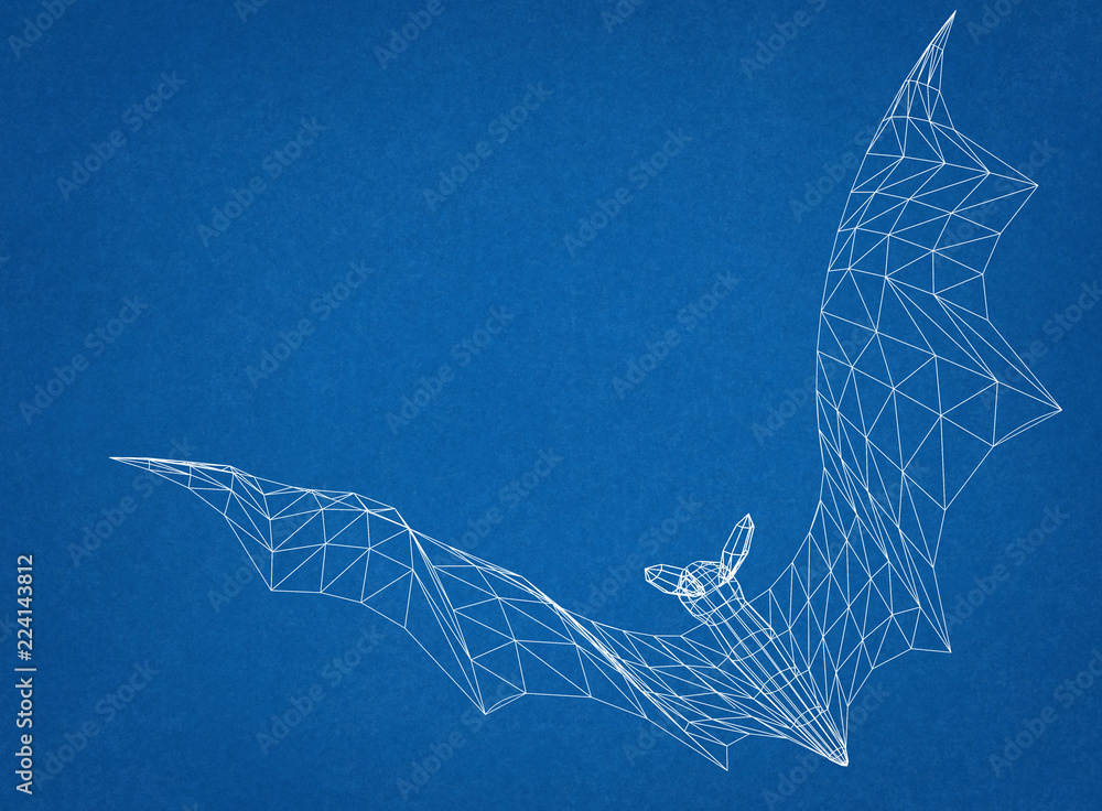 The Bat Blueprints