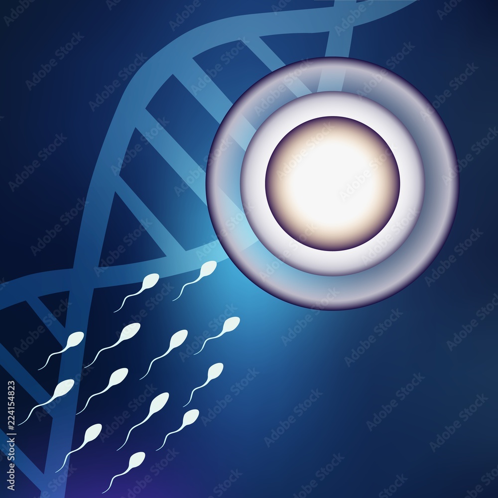 Fertile egg cells, the first stage of the birth of a new life ...