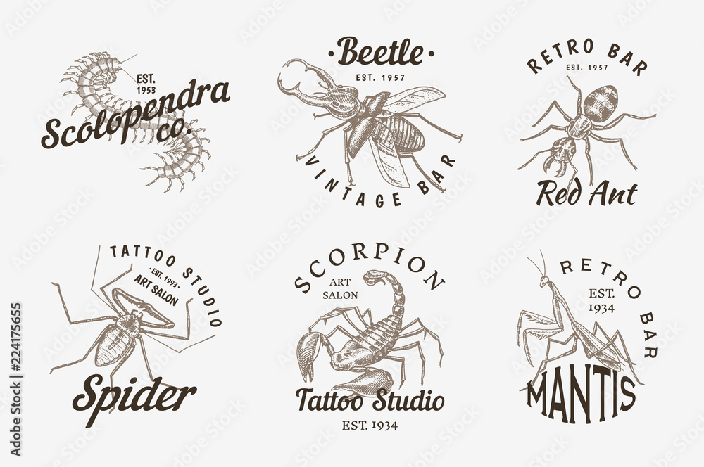 Set of insects logos. Vintage Pets labels for bar or tattoo studio ...
