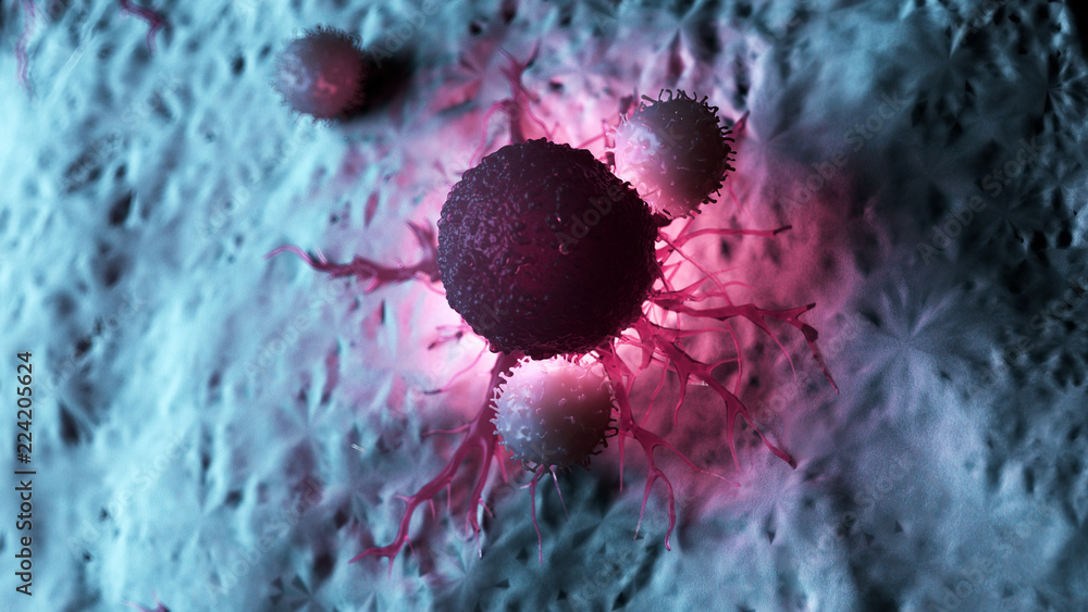 3d rendered medically accurate illustration of white blood cells ...