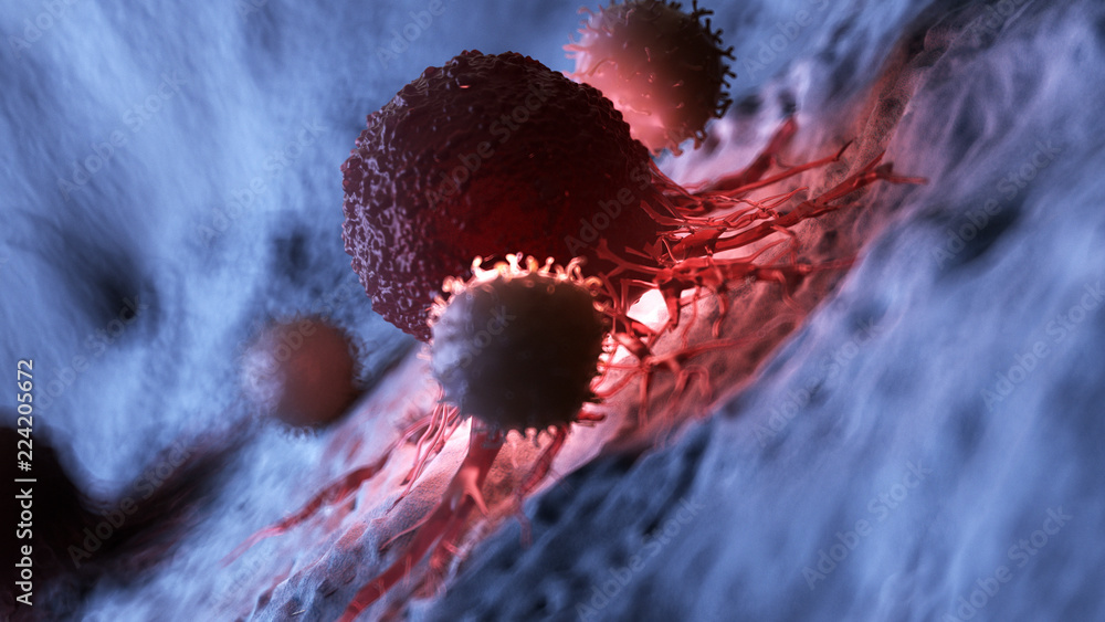 3d rendered medically accurate illustration of white blood cells ...
