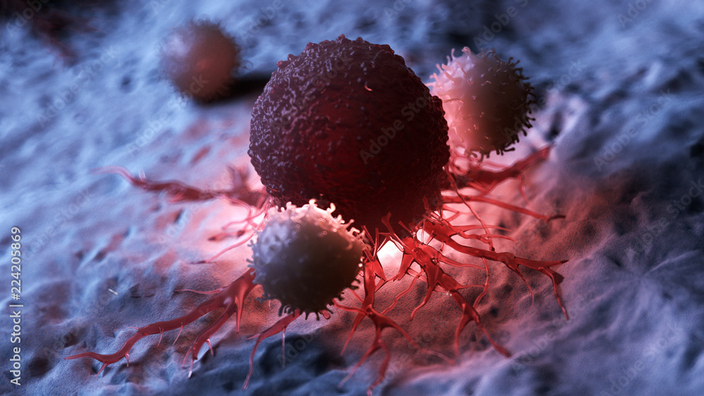 3d rendered medically accurate illustration of white blood cells ...