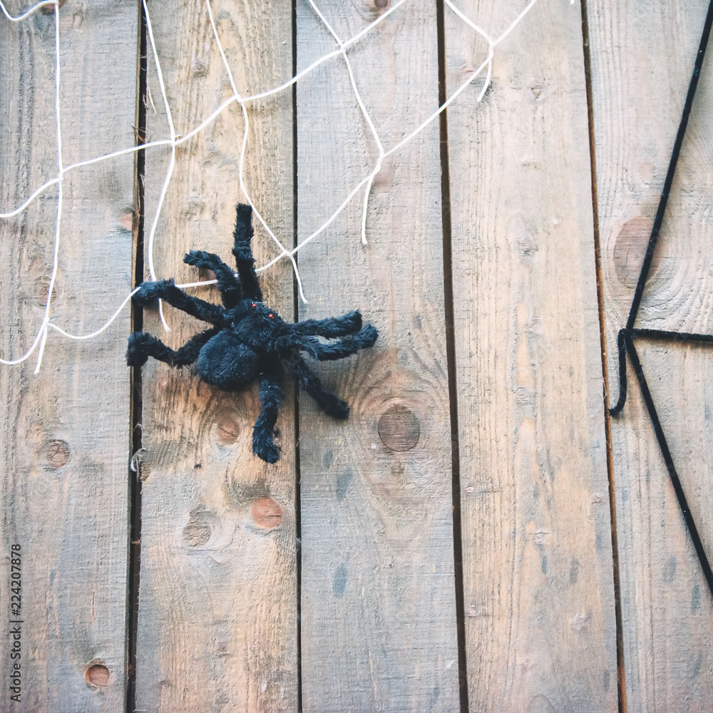 Decorations as symbols of Halloween. Halloween background. Spider ...