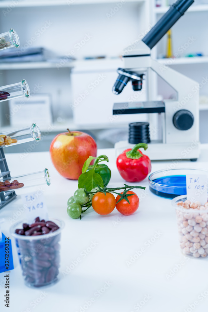 Chemical Laboratory of the Food supply . Food in laboratory, dna modify ...