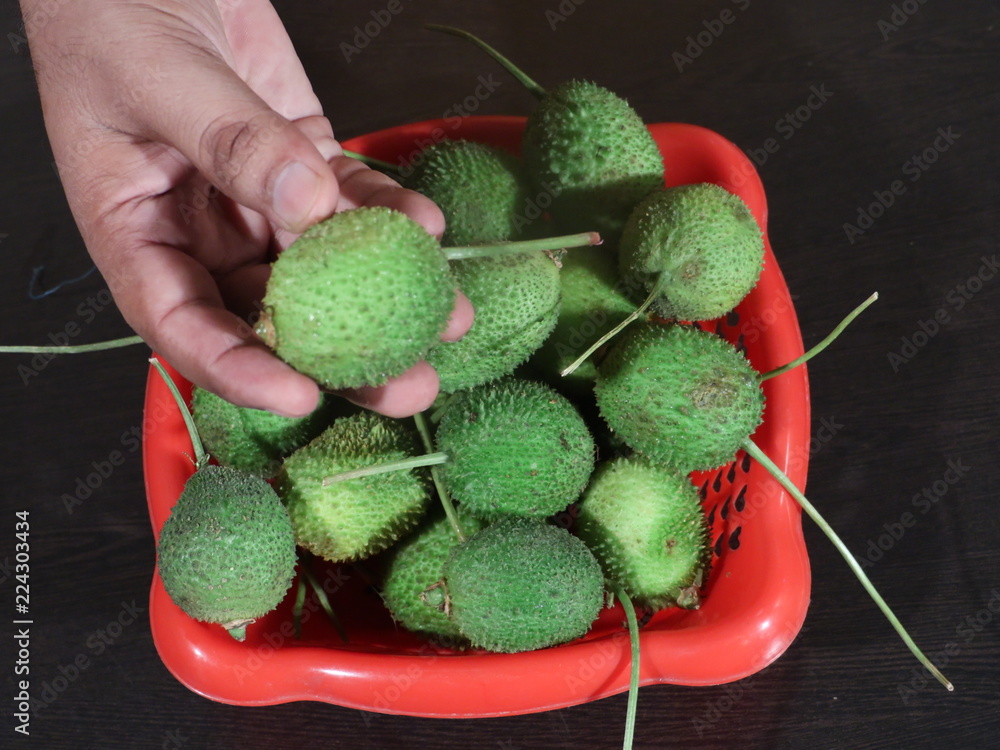 spiny gourd (Kantola),Spiny Gourd or Kantola vegetable isolated,Spiny ...