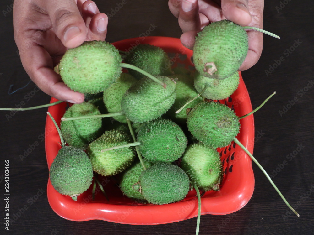 spiny gourd (Kantola),Spiny Gourd or Kantola vegetable isolated,Spiny ...