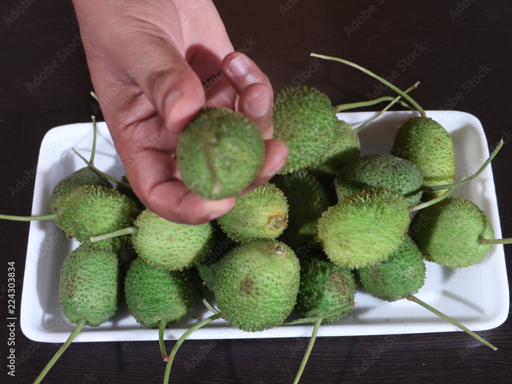 spiny gourd (Kantola),Spiny Gourd or Kantola vegetable isolated,Spiny ...